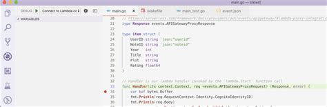 Go Serverless Offline Wait Go Yes It Is Really Simplified