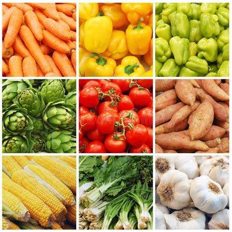 Un Collage De La Nutrición Con Muchas Frutas Sabrosas Foto de archivo Imagen de nutrición