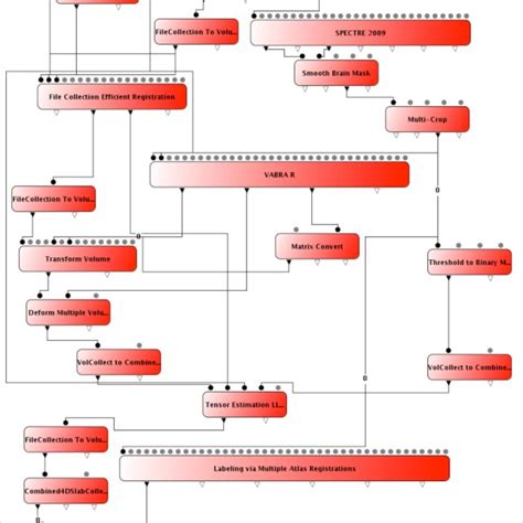 An Overview Of The Magnetic Resonance Connectome Automated Pipeline Download Scientific Diagram