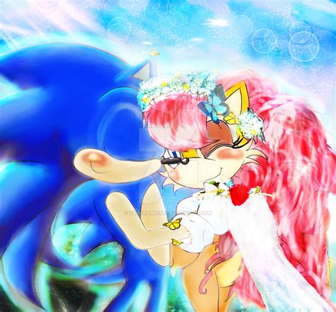Sonic And His Bride Princess Sally Alicia Acorn By Darkramiess On