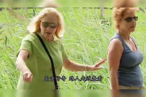 一头花豹蹲在路边吓唬人，路人反应太滑稽，镜头拍下搞笑全程 吓唬人 反应 路人