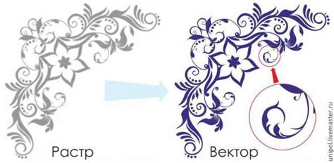 Как сделать из растрового изображения векторное в Coreldraw Coreldraw