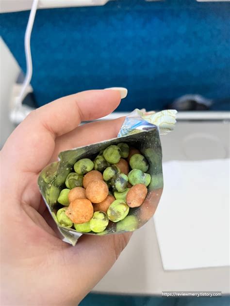 김해↔호치민 직항 노선 베트남항공 이코노미 좌석 이용 후기 및 정보