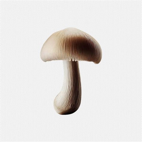 Premium Psd Mushroom Png
