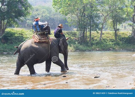 Tourists Riding Elephants Stock Image Image Of Tourism 38631459