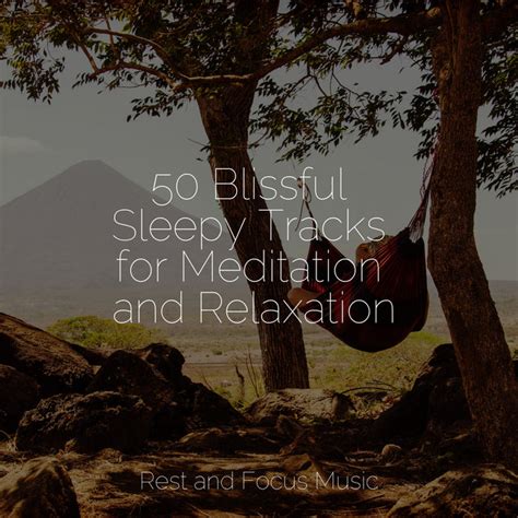 50 Blissful Sleepy Tracks For Meditation And Relaxation Album By