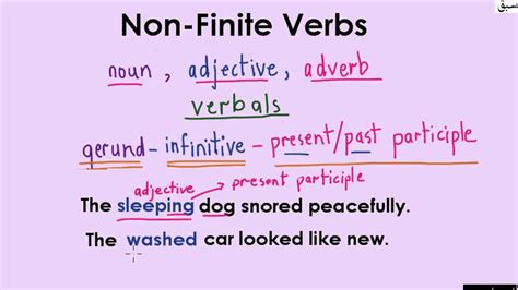Finite Verb Definite Rules Examples And List Onlymyen Vrogue Co