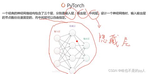 torch激活函数，优化器，损失函数（二） torch mfu csdn博客