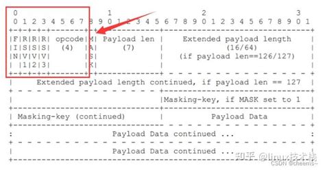 一文带你秒懂 字节序 Byte Order ，比特序 Bit Order ，位域 Bit Field 知乎