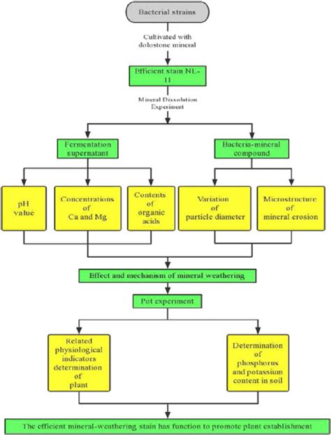 The Flow Chart That Outlines The General Methodological Steps Colour