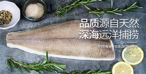海洋兄弟官方网站