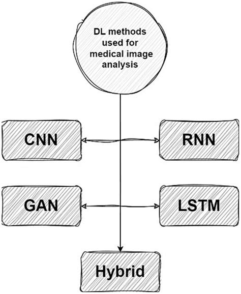Frontiers Medical Image Analysis Using Deep Learning Algorithms