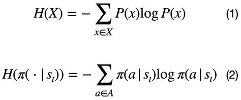 Information Theory Equation