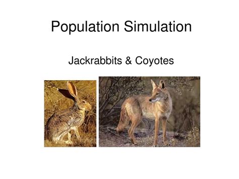Ppt Population Simulation Powerpoint Presentation Free Download Id