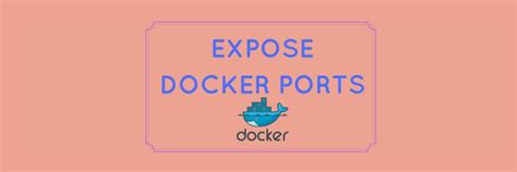 Expose Docker Ports Makes Container Externally Accessible