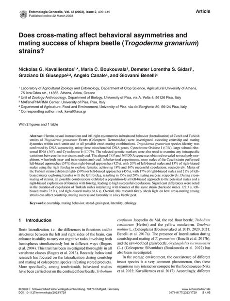 Does Cross Mating Affect Behavioral Asymmetries And Mating Success Of Khapra Beetle Trogoderma