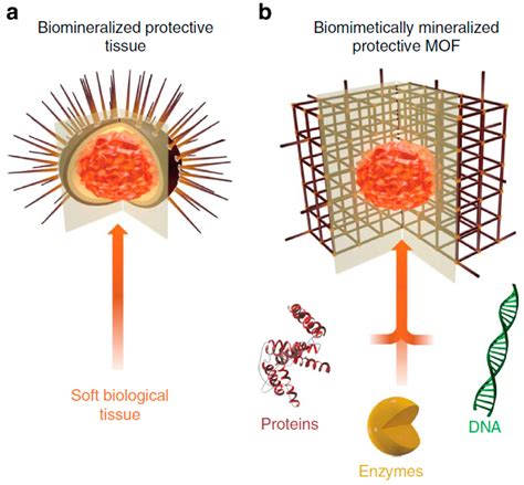 Nanomaterials Free Full Text Biomimetic Nanomaterials Diversity Technology And Biomedical