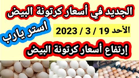 سعر كرتونة البيض اليوم سعر كرتونة البيض في المزرعة والمحلات ليوم الأحد