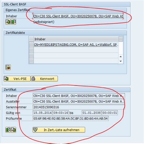 Sm59 How To Set Up Certificate Based Authe Sap Community