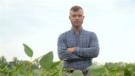Farmer Looking At Camera On Soybean Field Concept Ecology Bio Product Inspection Natural