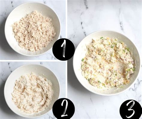 Copycat Chicken Salad Chick Sassy Scotty Two Pink Peonies
