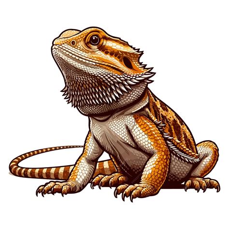 Premium Vector Cute Bearded Dragon Vector Cartoon Illustration