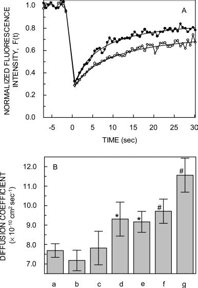 Analysis Of Fluorescence Recovery After Photobleaching Frap Data A