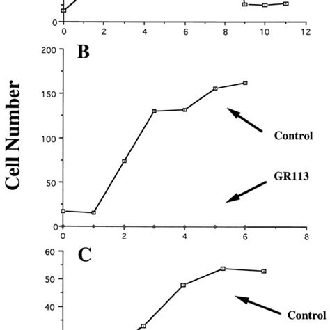 Gr113 Blocks γ δ T Cell And Neutrophil Rolling On 24 H Download Scientific Diagram