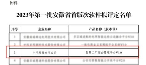 中用科技入选安徽省首版次软件评定名单 中用科技有限公司