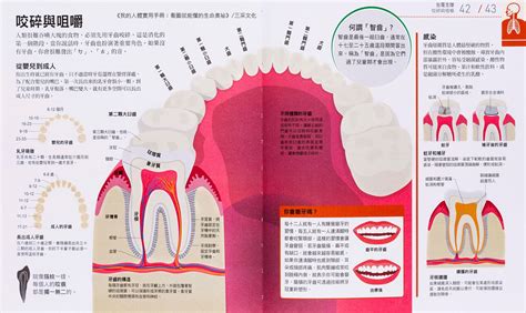 三采文化suncolor 【就像指紋一樣，每個人的咬痕都是獨一無二的😬】 關於牙齒的兩三事🎶