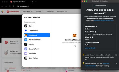 How To Add Avalanche To Metamask Wallet Step By Step Guide