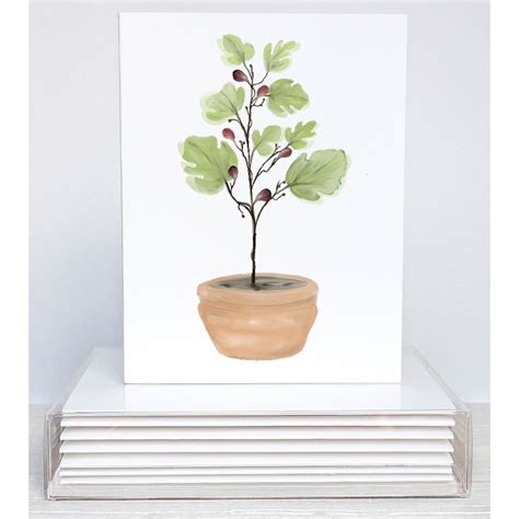 Fig Tree Note Cards Tree Swing Designs