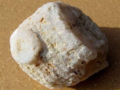 White Ringer Crystal Fossilized Crinoid Geode Half Indiana Geodized Fossil 4621 Rocks And