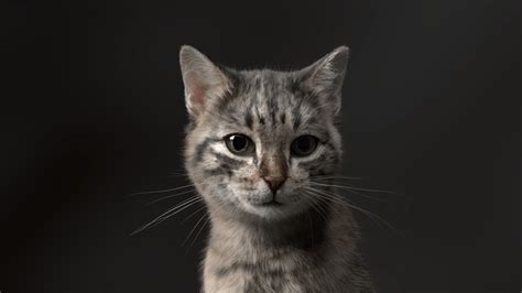 80 Level On Linkedin Characterart Characterdesign Realistic Realism Realisticart