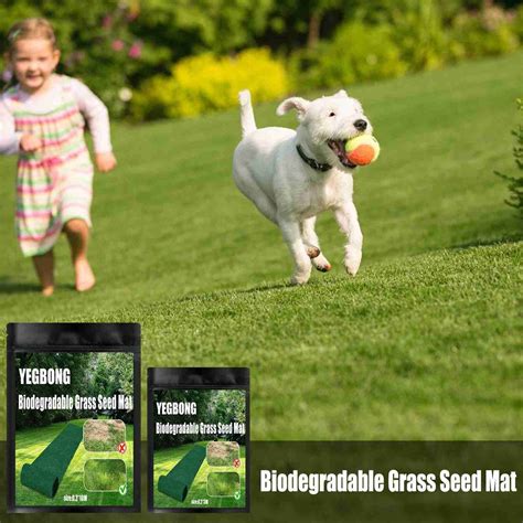 How To Use A Grass Seed Mat At Velma Wright Blog