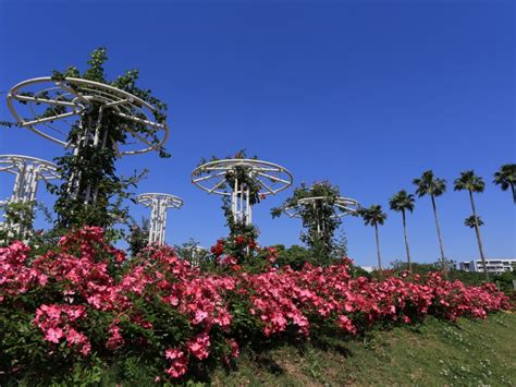長居公園 ｜ 大阪観光