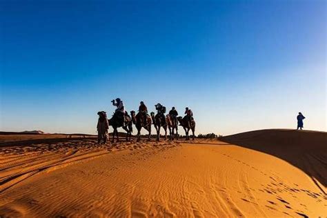 Unleash Thrilling Ladakh Best Package From Kolkata 8902495917