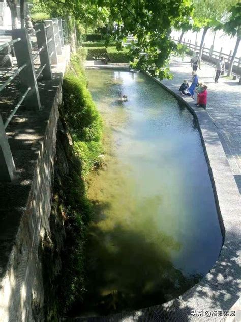 泉水叮咚的龍門石窟哪去了 每日頭條