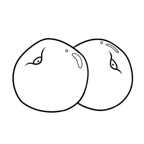 Premium Vector Nance Fruit Hand Drawn Coloring Book Illustration