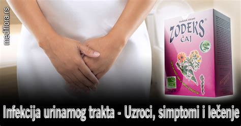 Infekcija Urinarnog Trakta Uzroci Simptomi I Lečenje Mediflora