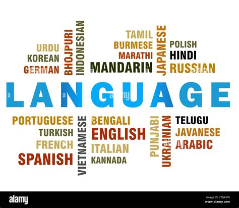Word Cloud Of Language In The World Vector Illustration Stock Vector Image And Art Alamy