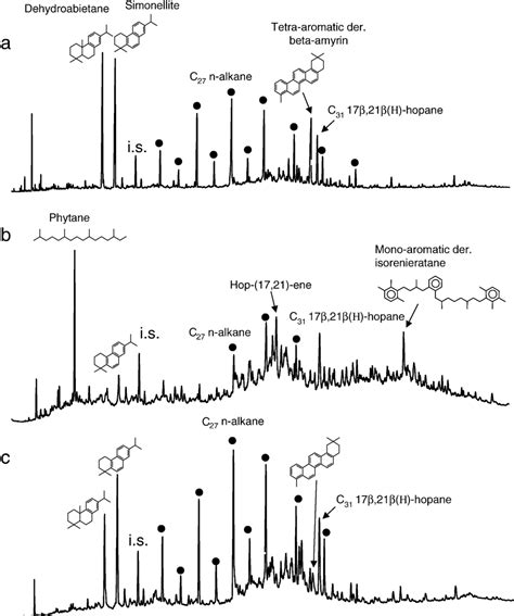 Figure 1 From The Paleocene Eocene Carbon Isotope Excursion In Higher