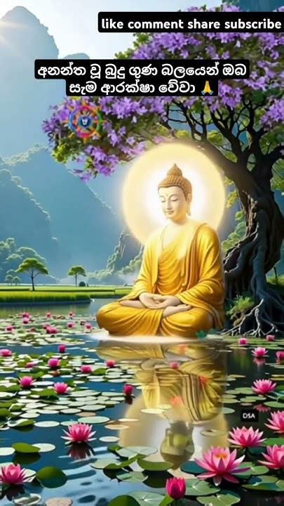 අනන්ත වූ බුදු ගුණ බලයෙන් ඔබ සැම ආරක්ෂා වේවා 🙏 🙏 ️🪷🌺🌸🌼🔥🩷♥️🙏 Buddha Anuhas Motivation