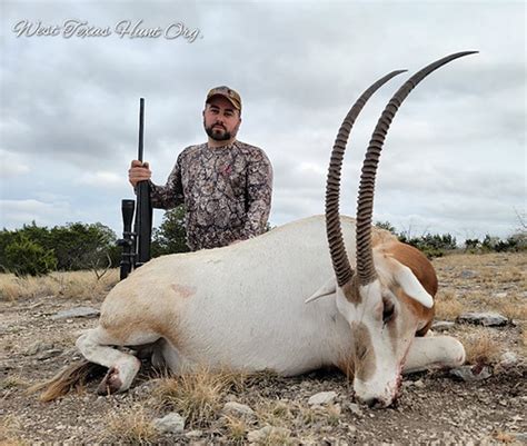 Exotic Hunts West Texas Hunt Organization