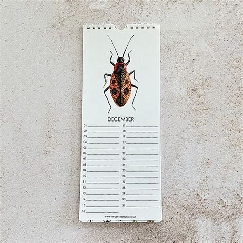 Special Events Calendars Insects Owl In The Moss