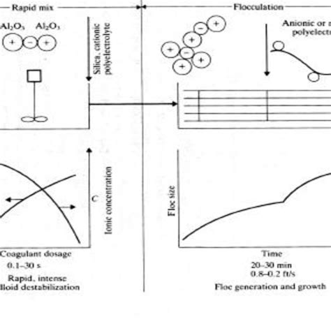 Coagulation Flocculation Process [5] Download Scientific Diagram