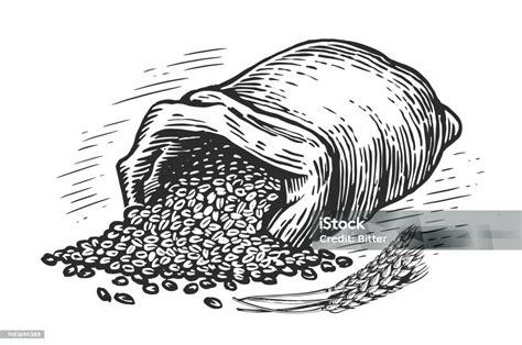 밀알의 전체 자루 밀가루를 굽기 위한 농장 유기농 빵 밀 농업 스케치 빈티지 벡터 일러스트 레이 션 오븐에 굽기에 대한 스톡 벡터 아트 및 기타 이미지 Istock