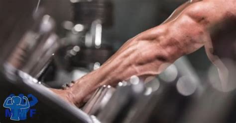 12 Lower Back Exercises For Men By Equipment Type