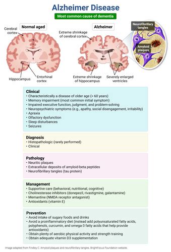 Neurology Flashcards Quizlet