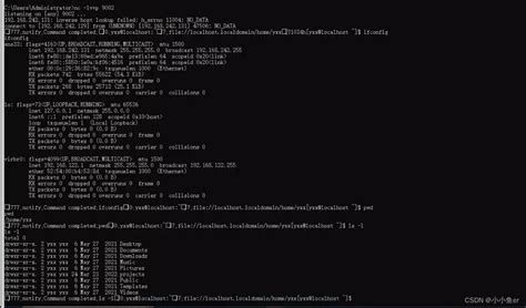 【shell编程学习】反弹shell Toy模板网